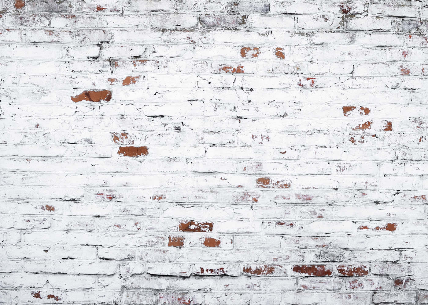 Reels Catherine Sheehan • Voice Over • Sweet with just enough Sassy.